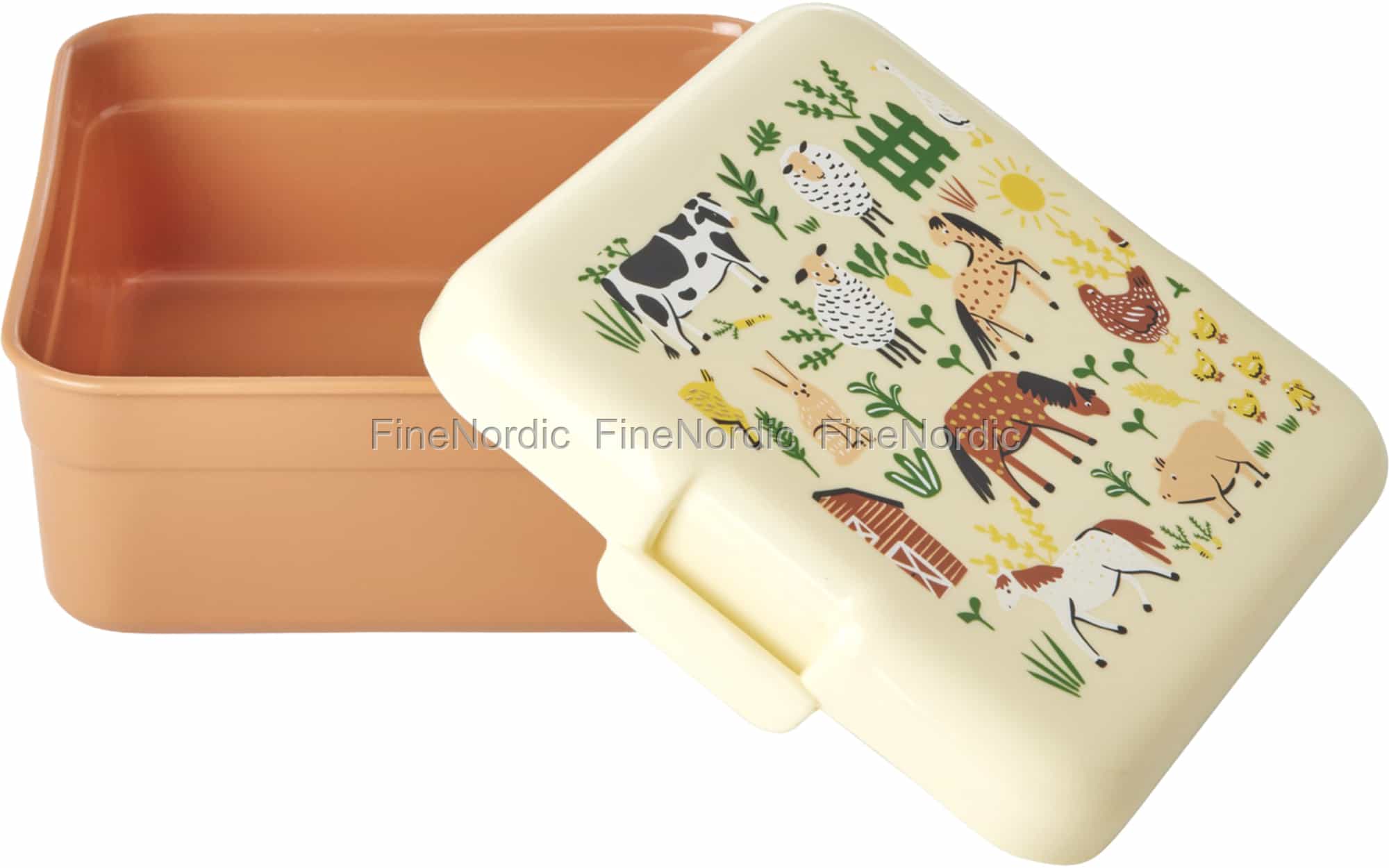 Rice Lunch Box - Farm to Table - Brown - Small