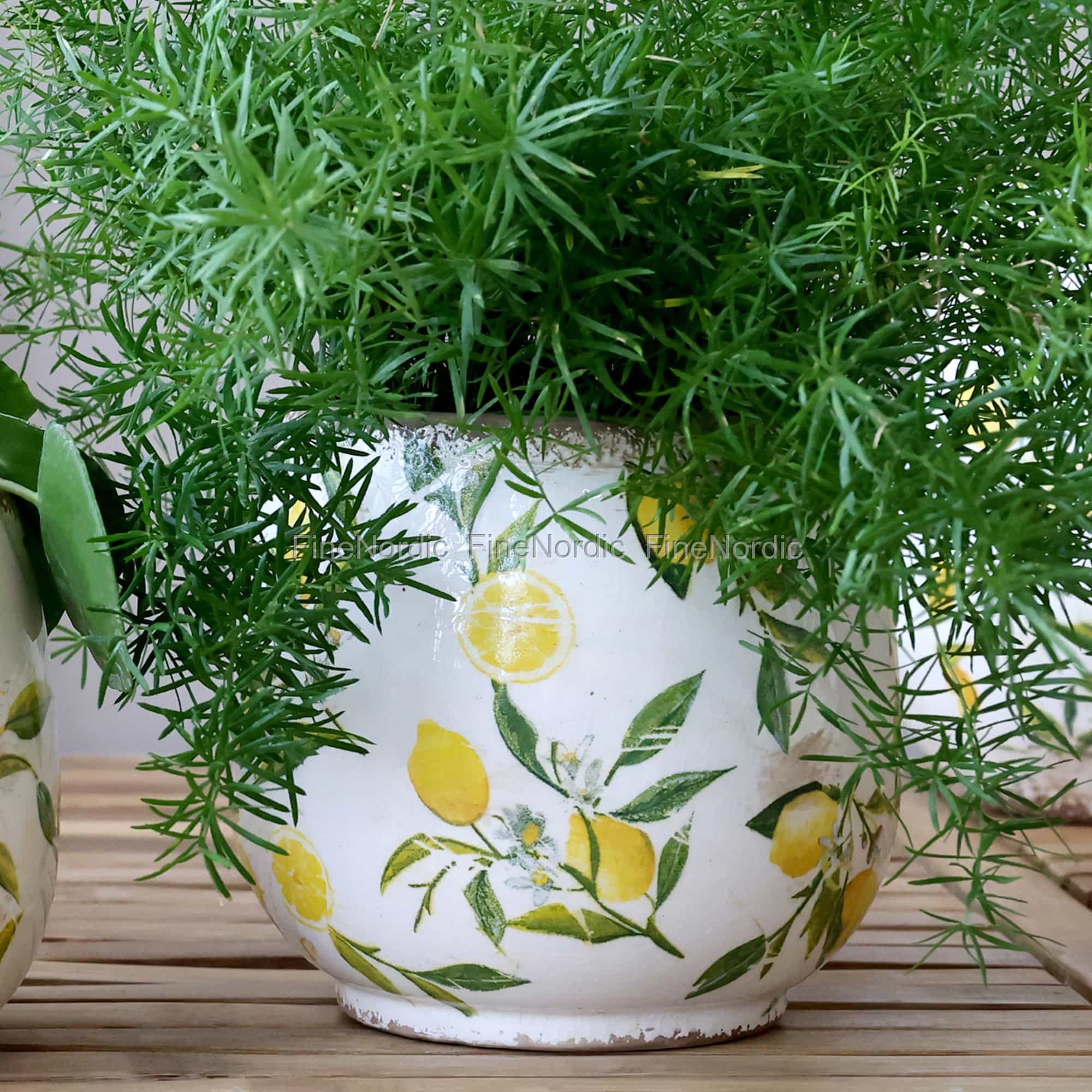 Chic Antique Limone Planter with Lemon Motif Cream H 16 cm