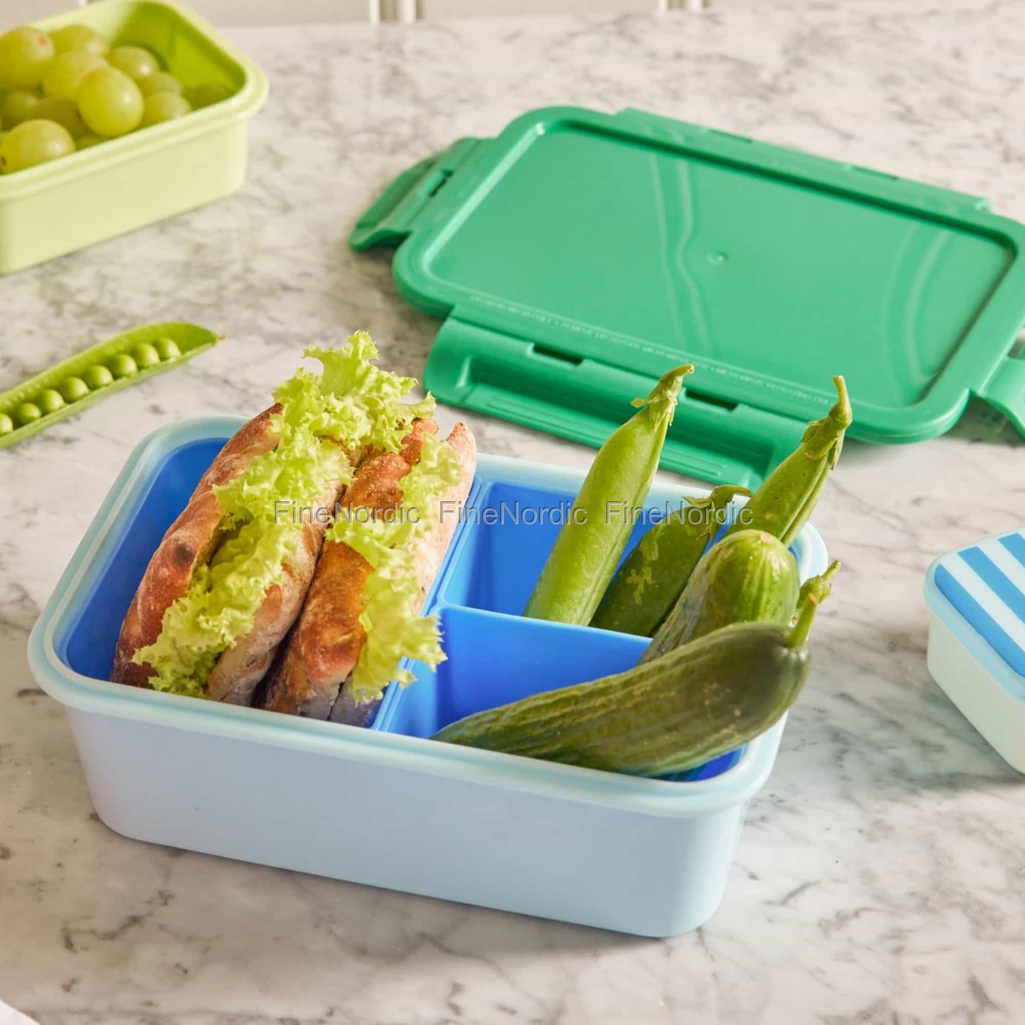 Rice Lunch Box - 3 Inserts - "Monsters" Colors