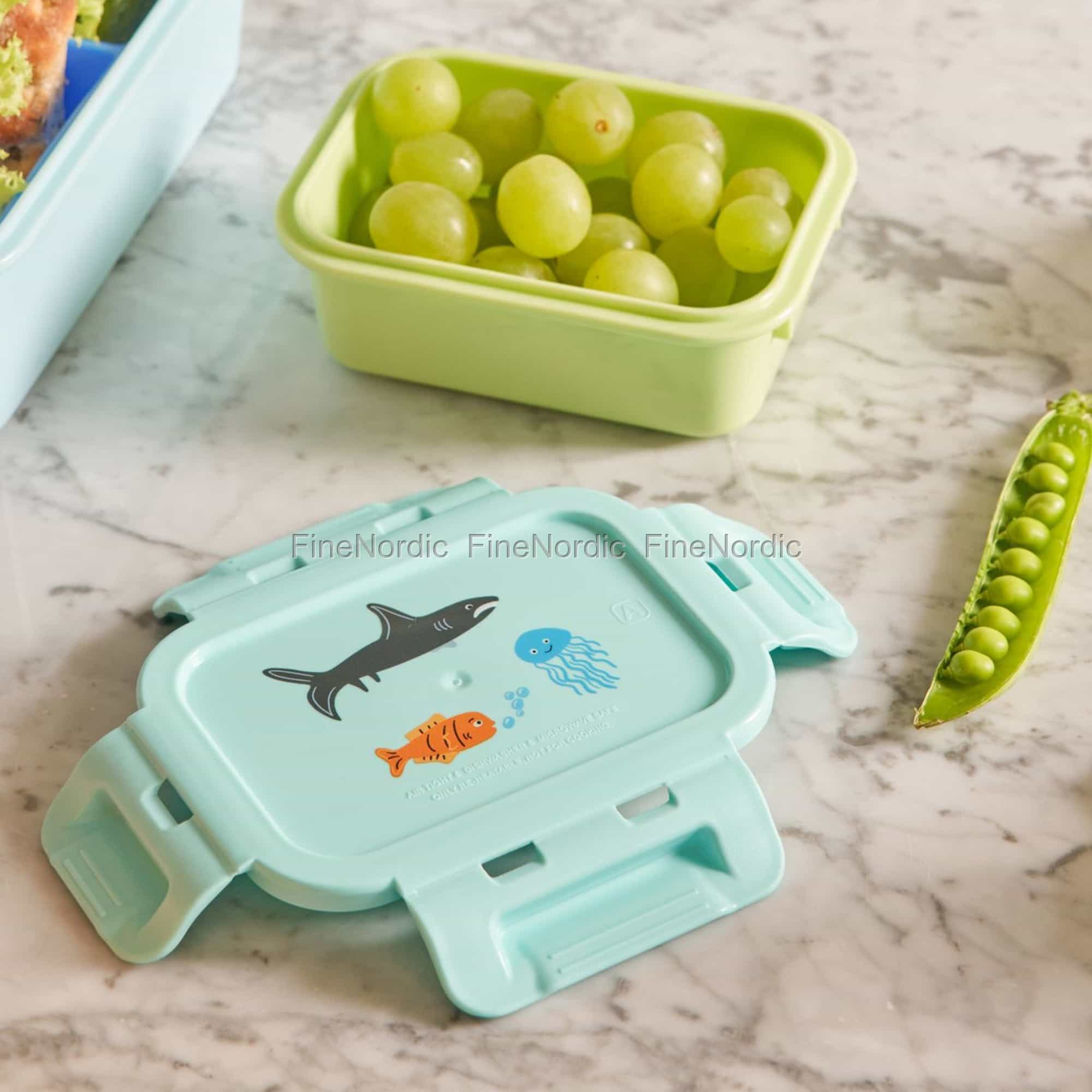 Rice Lunch Box - Airtight Lid - "Wildlife" - Mint - Small